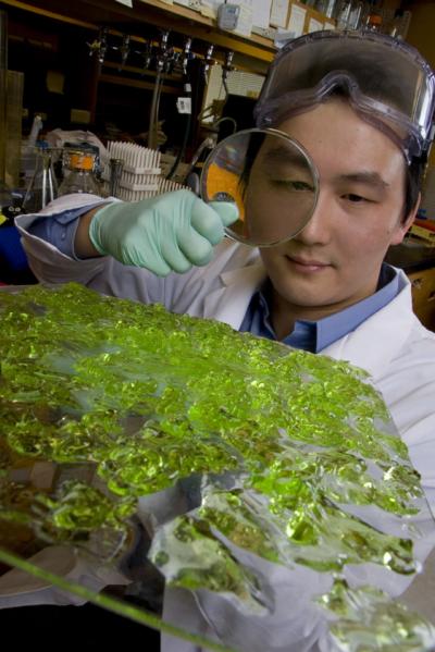 $30,000 Lemelson-MIT Student P [IMAGE] | EurekAlert! Science News Releases