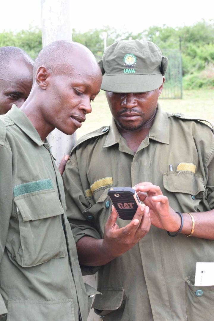 New ranger patrol method shows major improvem | EurekAlert!