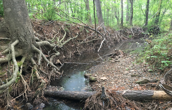 north-carolina-stream [IMAGE] | EurekAlert! Science News Releases
