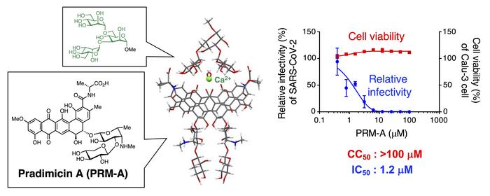 The molecular basis of how Pradimicin A binds | EurekAlert!