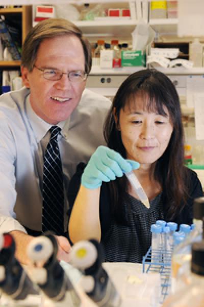 UT Southwestern researchers uncover culprits | EurekAlert!