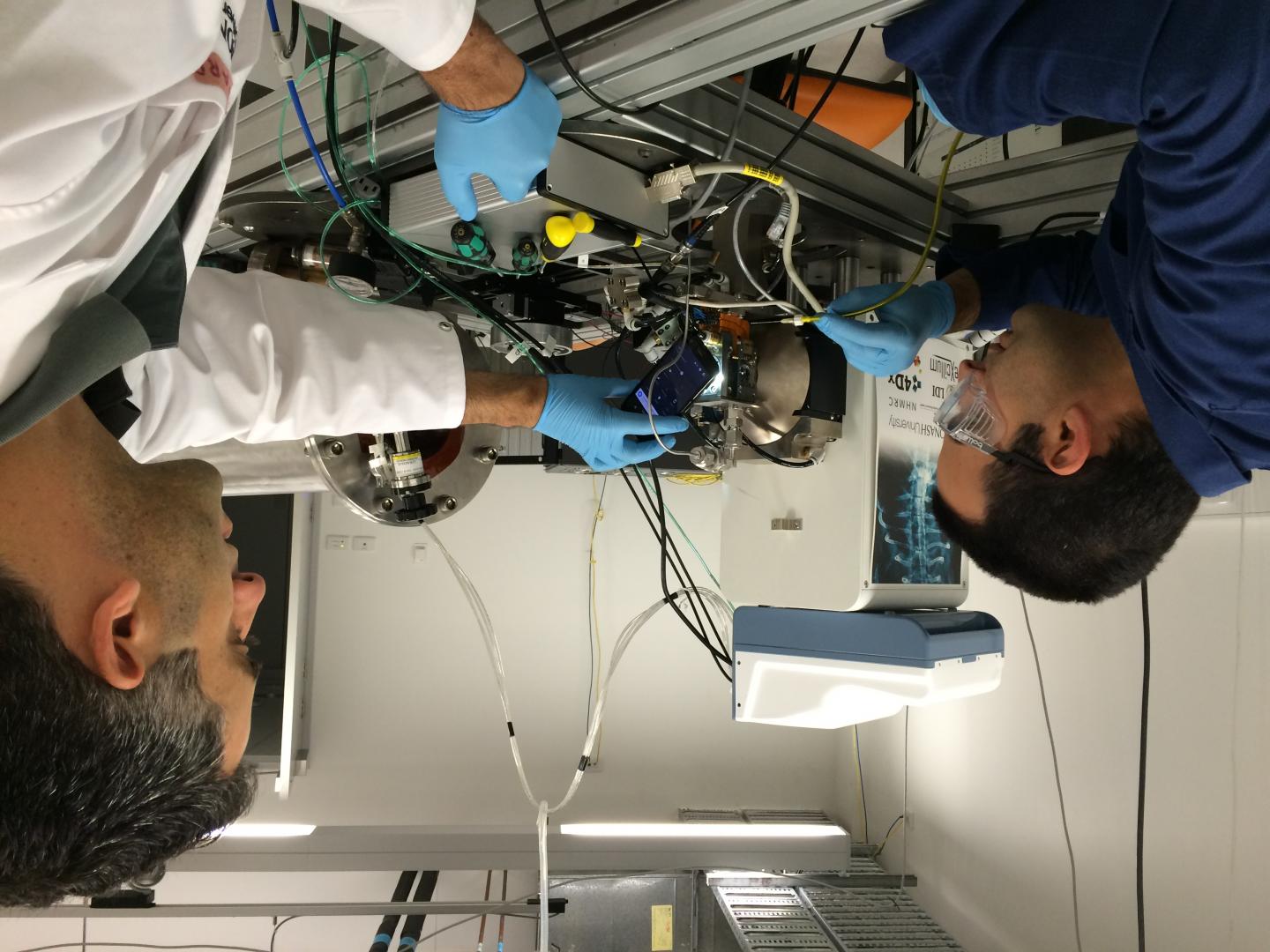 Lung Function [IMAGE] | EurekAlert! Science News Releases