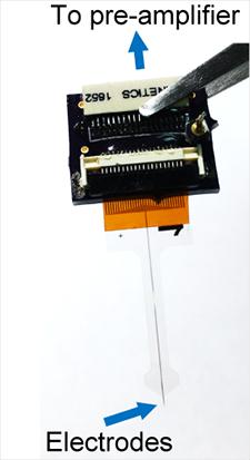 Multi-area brain monitoring pr [IMAGE] | EurekAlert! Science News Releases