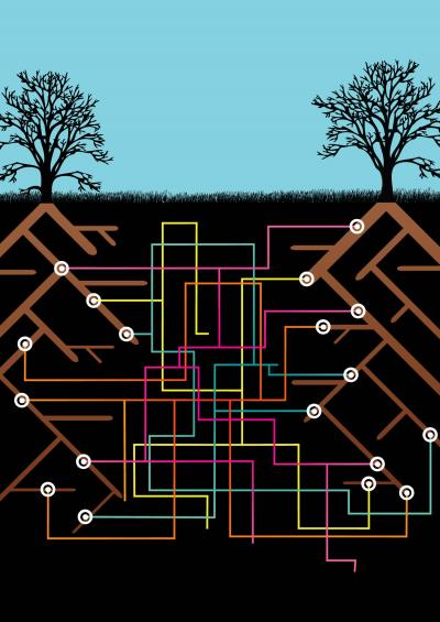 How Plants and Fungi Prevent Cheating (4 of 5 | EurekAlert!