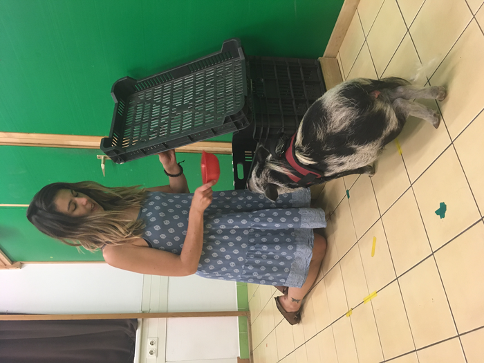 The experimenter hiding food [IMAGE] | EurekAlert! Science News Releases