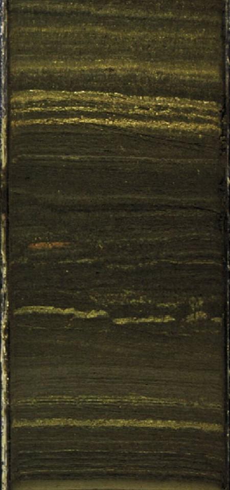 core pollen sample [IMAGE] | EurekAlert! Science News Releases