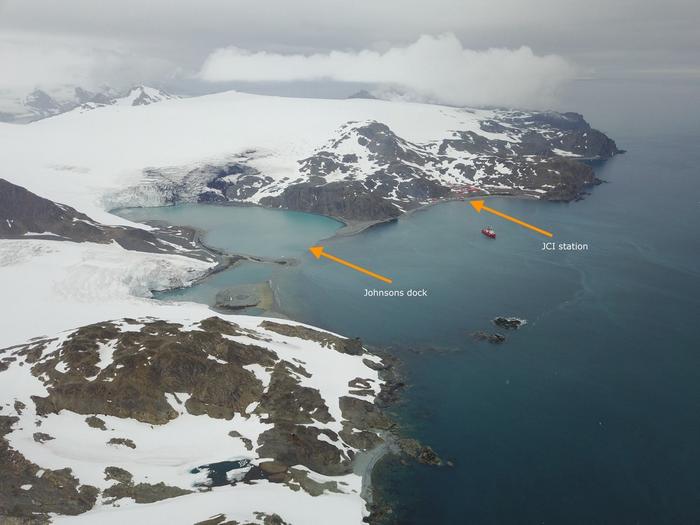 Canada and Spain scientists establish new Ant | EurekAlert!