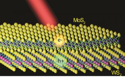 MoS2/WS2 Heterostructure [IMAGE] | EurekAlert! Science News Releases