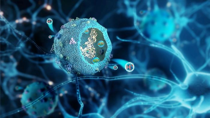 Neural stem cell-derived oxida [IMAGE] | EurekAlert! Science News Releases