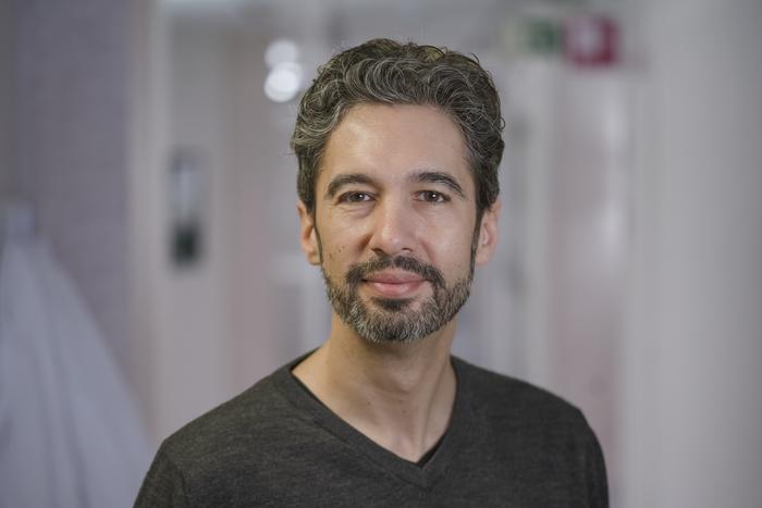 Felipe Cava [IMAGE] | EurekAlert! Science News Releases