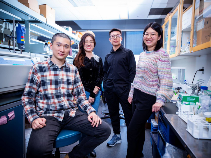 Shuyan Wan, Xiaohan Yang, Zhao [IMAGE] | EurekAlert! Science News Releases