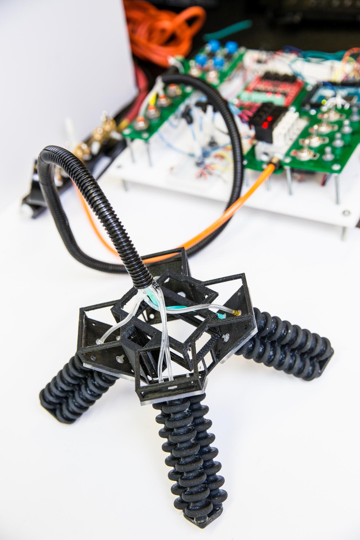 Soft-Rigid Legs Close Up [IMAGE] | EurekAlert! Science News Releases