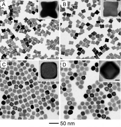 TEM Image of Nanocrystals [IMAGE] | EurekAlert! Science News Releases