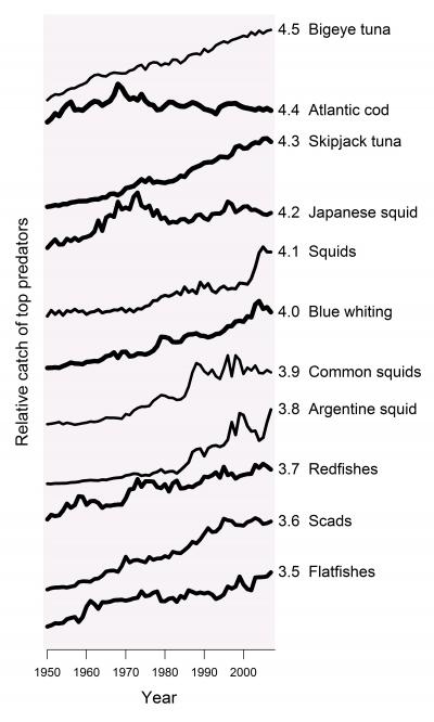 Catch: Top Predators [IMAGE] | EurekAlert! Science News Releases