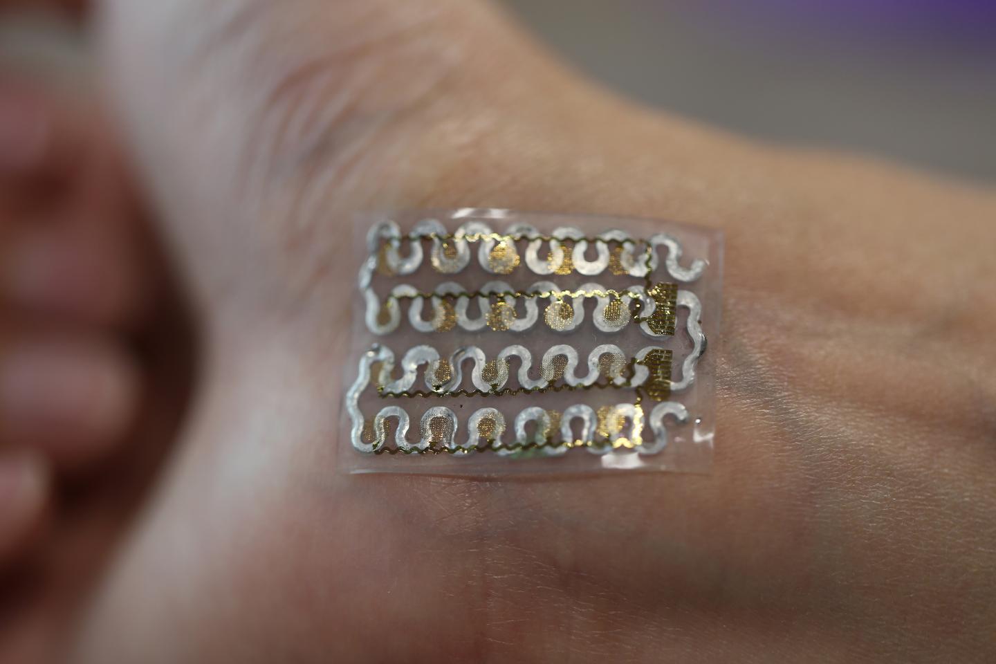 Building Benefits of Hard and Soft Electronic | EurekAlert!