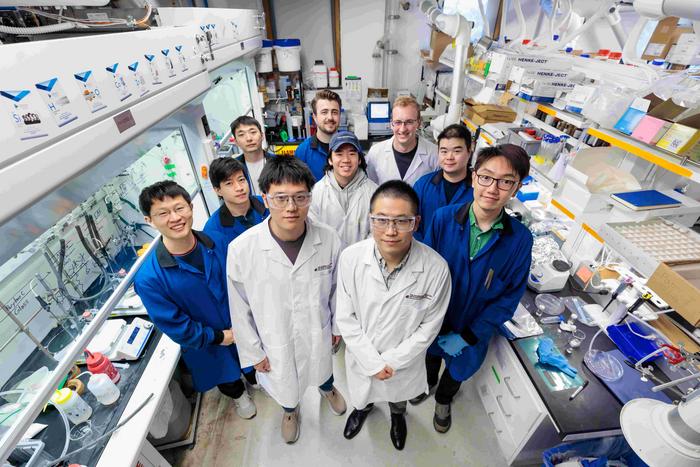 Wang Research Group [IMAGE] | EurekAlert! Science News Releases