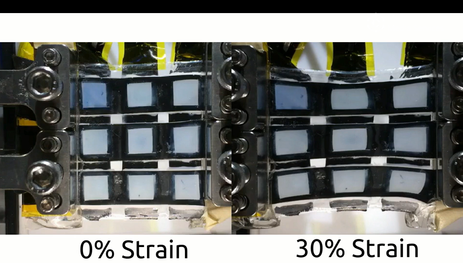 Researchers Create Stretchable, Color-Changing Display: The Future of Wearable Screens | GadgetAny