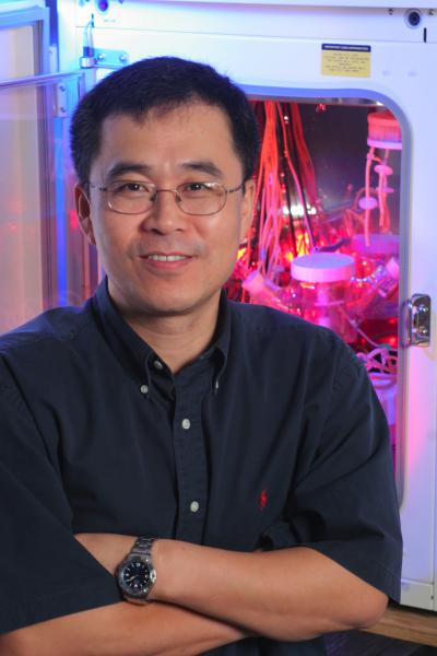 Teng Ma, Florida State Univers [IMAGE] | EurekAlert! Science News Releases