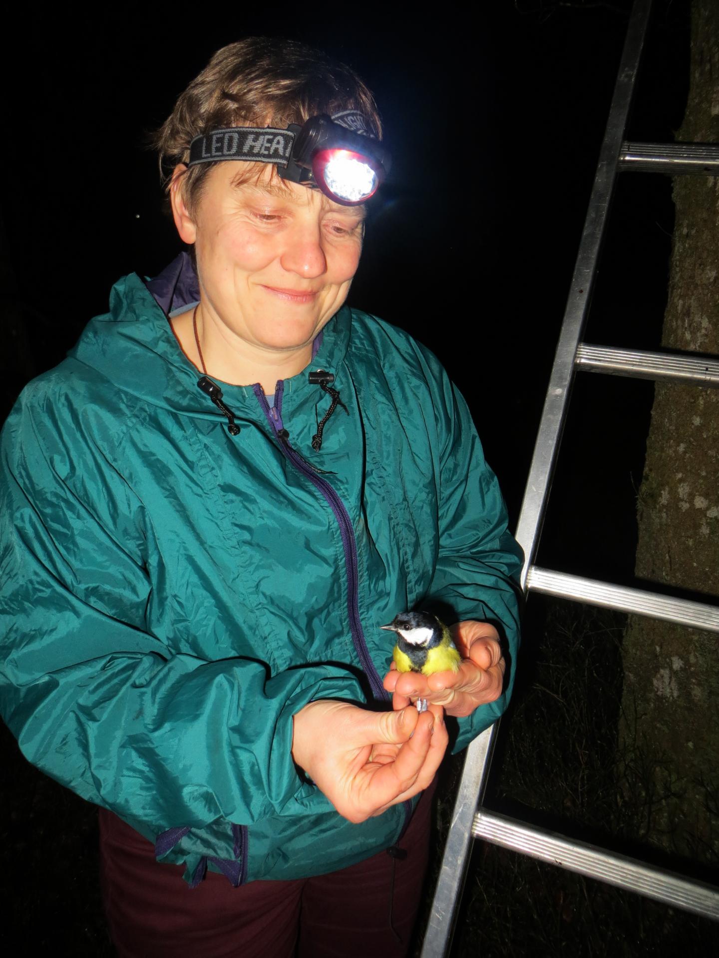 Dr. Barbara Helm, University o [IMAGE] | EurekAlert! Science News Releases