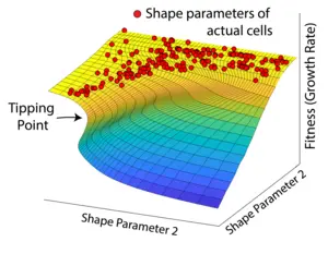Researchers Discover Evolutionary “Tipping Po | EurekAlert!
