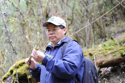 Jack Liu, Michigan State Unive [IMAGE] | EurekAlert! Science News Releases