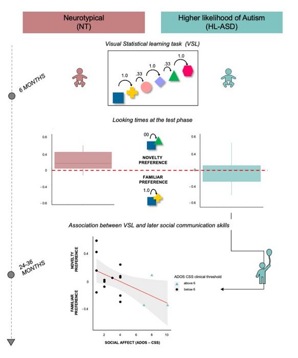 Visual statistical learning in [IMAGE] | EurekAlert! Science News Releases