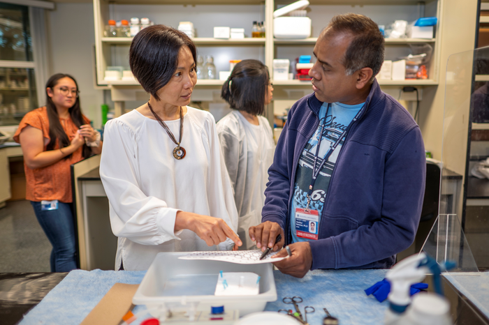 Blood pressure drug holds prom [IMAGE] | EurekAlert! Science News Releases