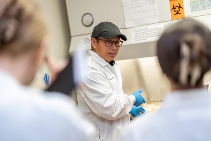 Cancer research [IMAGE] | EurekAlert! Science News Releases