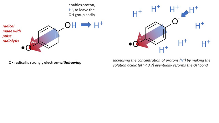 molecular graphics [IMAGE] | EurekAlert! Science News Releases