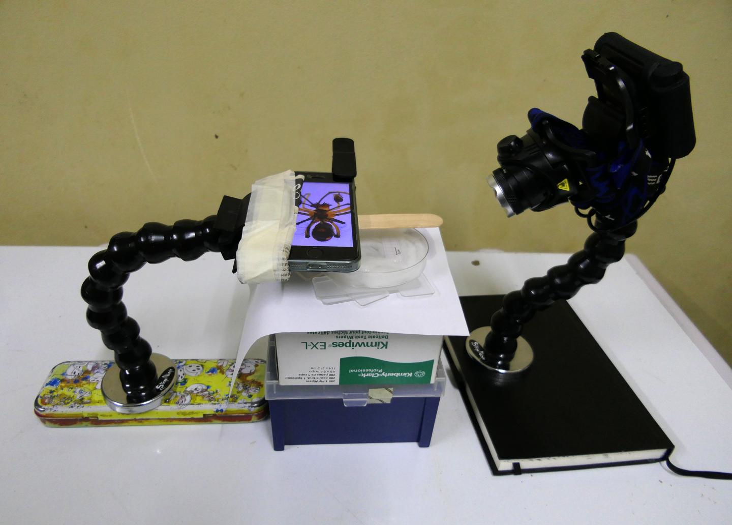 Improvised Specimen Imaging St [IMAGE] | EurekAlert! Science News Releases