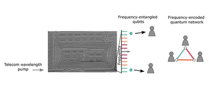 Silicon photonics light the way toward large- | EurekAlert!