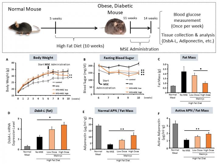 Administration Of Mse To High Image Eurekalert Science News Releases