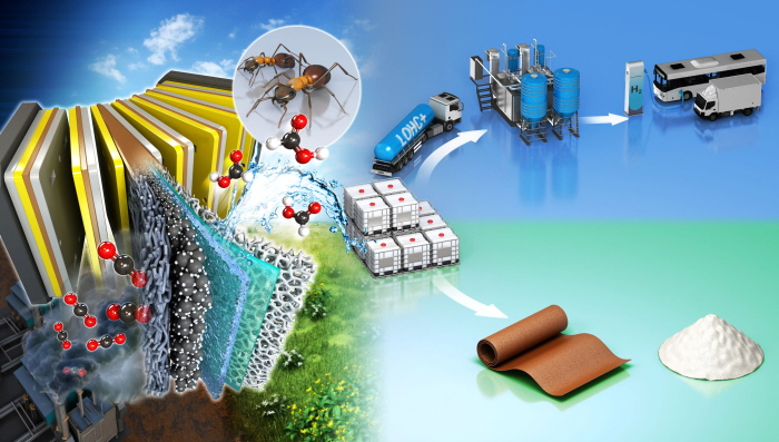 CO2→ formate conversion technology with signi | EurekAlert!