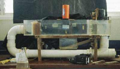 Aquatic Apparatus [IMAGE] | EurekAlert! Science News Releases