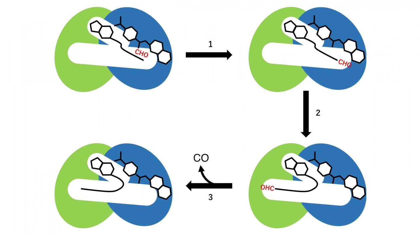 Reaction Scheme [IMAGE] | EurekAlert! Science News Releases