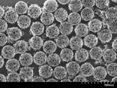 Nanoshells [IMAGE] | EurekAlert! Science News Releases