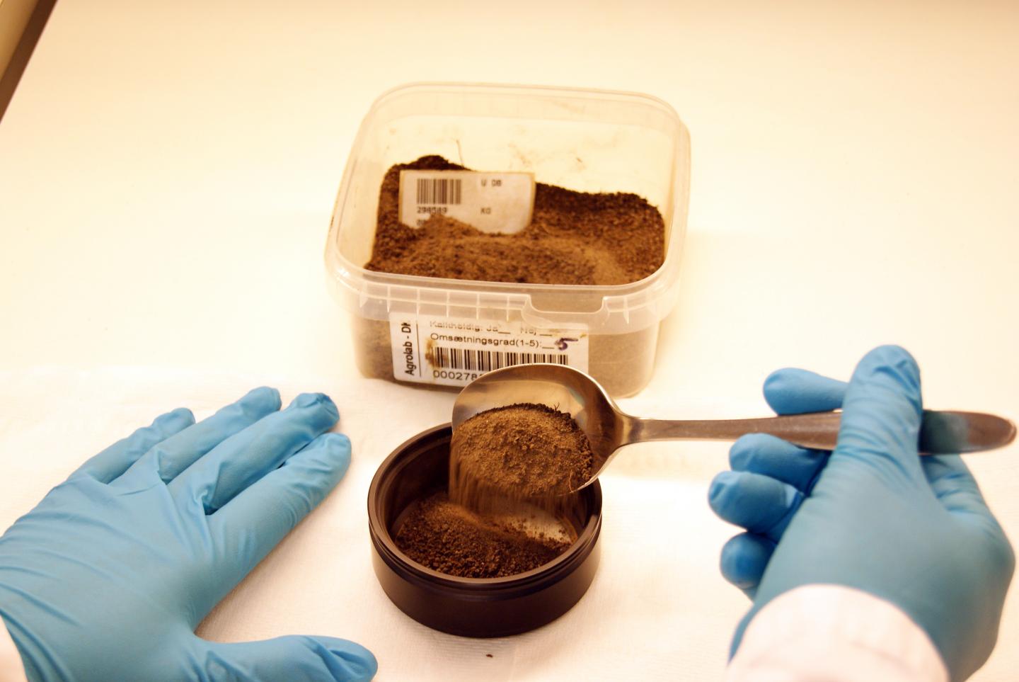 Soil Sample Preparation [IMAGE] | EurekAlert! Science News Releases