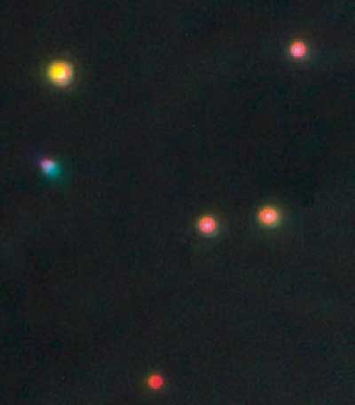 Nanostar Spectra [IMAGE] | EurekAlert! Science News Releases