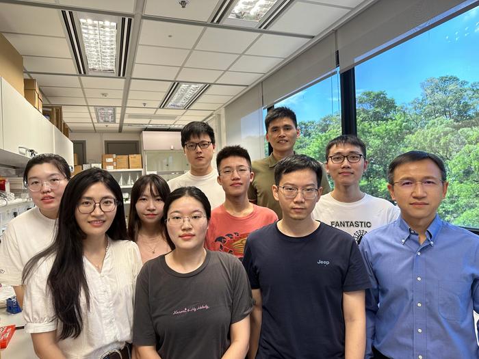 Prof. Kai LIU and his research [IMAGE] | EurekAlert! Science News Releases