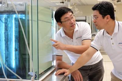 Darren Sun and Wong Ann Chai [IMAGE] | EurekAlert! Science News Releases