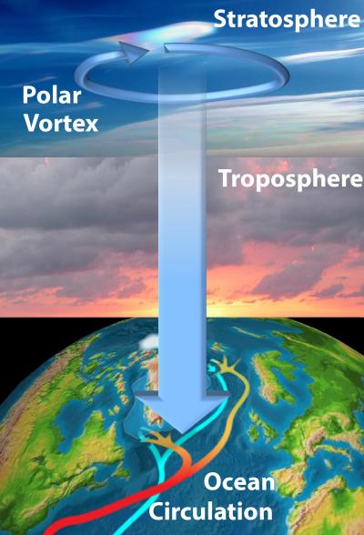 The Stratosphere Influences Se [IMAGE] | EurekAlert! Science News Releases