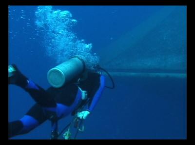 Diver Swimming in Hawaii [IMAGE] | EurekAlert! Science News Releases