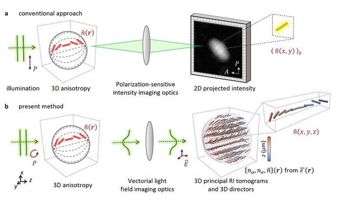 Figure [IMAGE] | EurekAlert! Science News Releases
