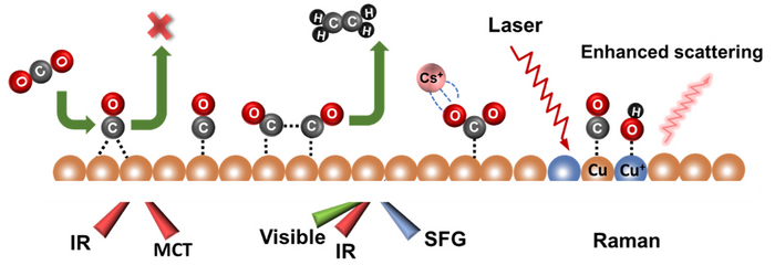 Fundamental aspects in CO2 electroreduction r | EurekAlert!