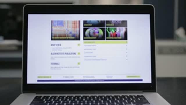 Allen Cell types database launched | EurekAlert!