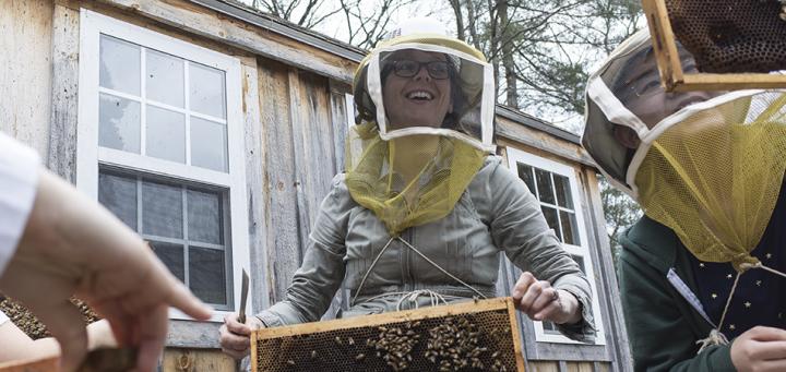 Poor Nutrition for Honey Bee L [IMAGE] | EurekAlert! Science News Releases