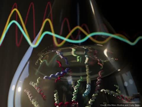 First-of-its-kind chemical oscillator offers | EurekAlert!