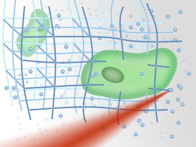 Nanostructures with living cells | EurekAlert!