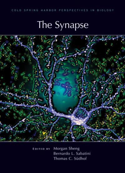 New book reviews the biology of synapses | EurekAlert!