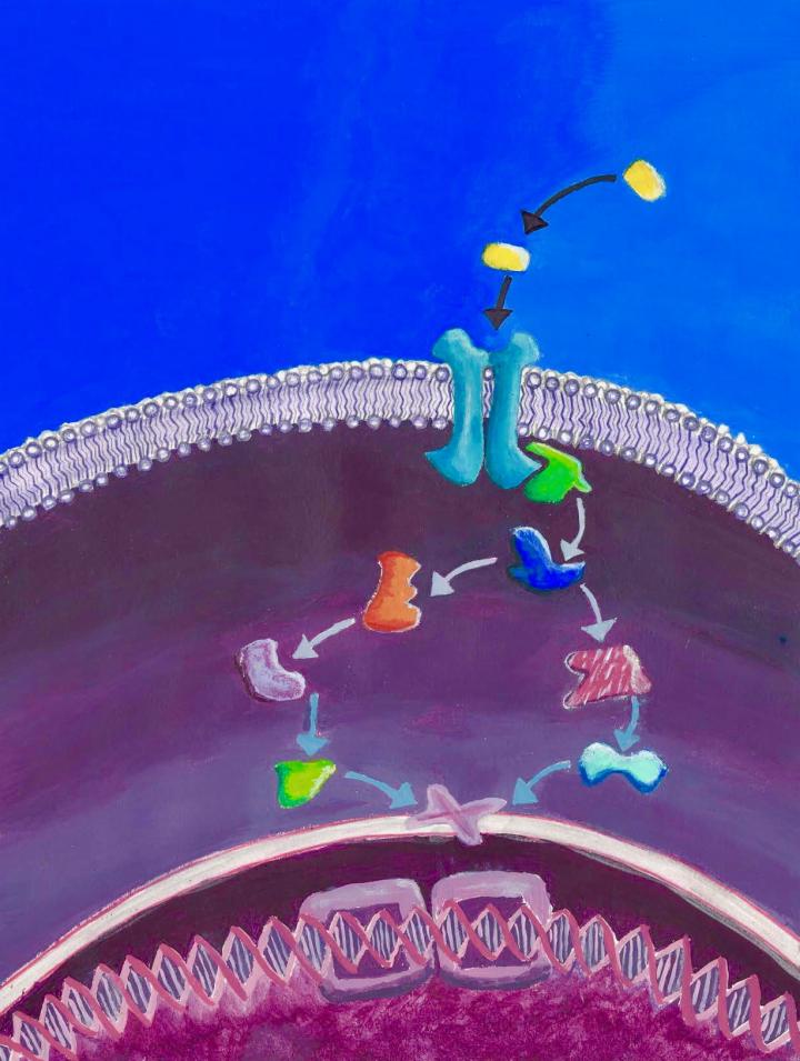 Targeting Membrane Protein Int [IMAGE] | EurekAlert! Science News Releases